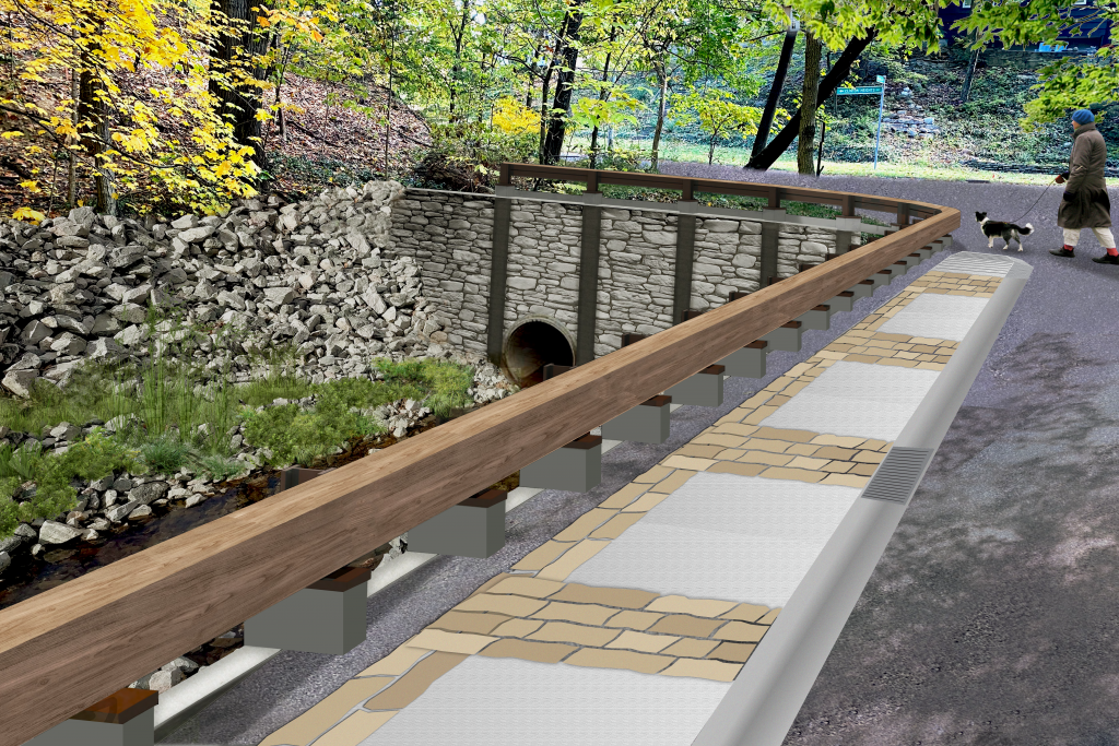 Walhalla Ravine Restoration – Blueprint Columbus